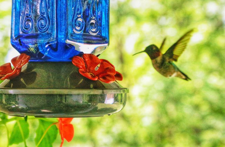 Humming along | News, Sports, Jobs - Morning Journal